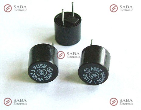 36 Fuse FUSE-250mA-250V